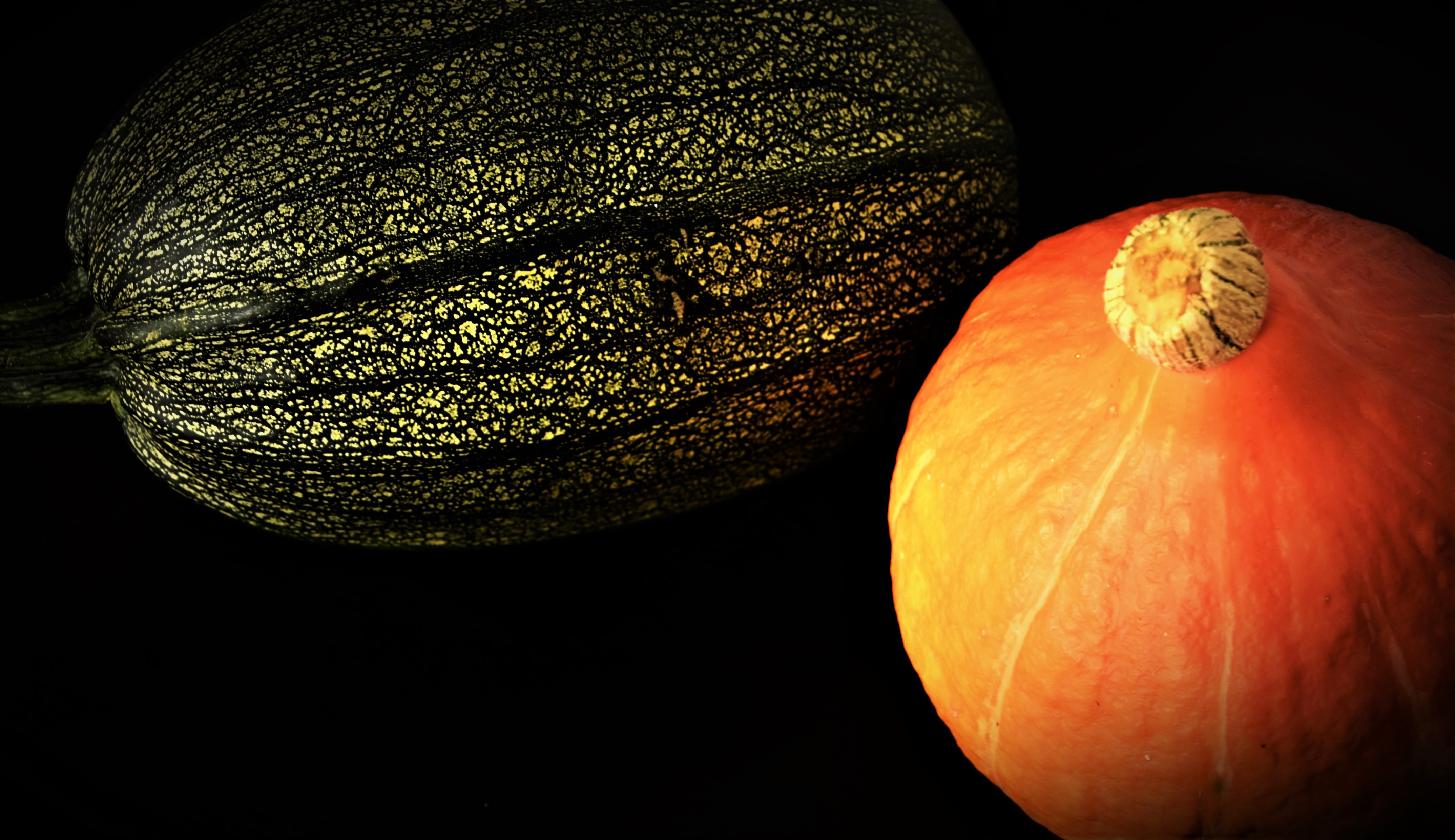 Licht essen / Eating Light – diespringerin